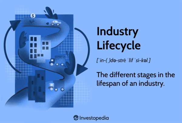 Understanding the Industry Lifecycle: Phases and Examples - Actionable ...